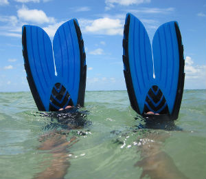 The Different Types of Fins